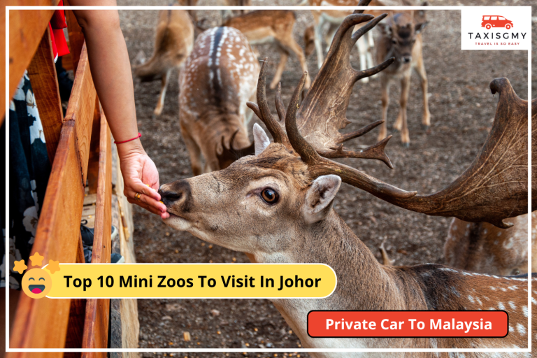 Top 10 Mini Zoos To Visit In Johor | By Private Car From Singapore To johor